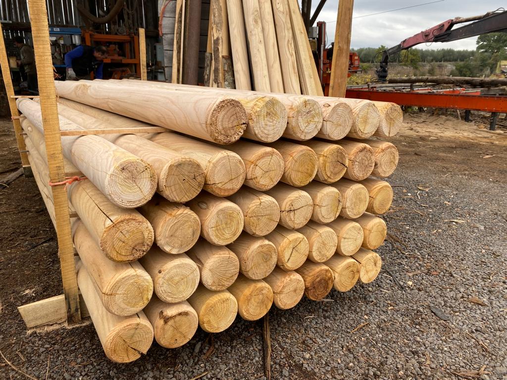 Paleria - Gentili Sandro Legnami